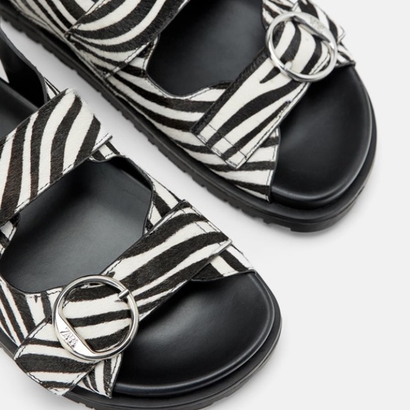 Zara | Shoes | Zara Zebra Print Flat Leather Sandals With Buckle | Poshmark